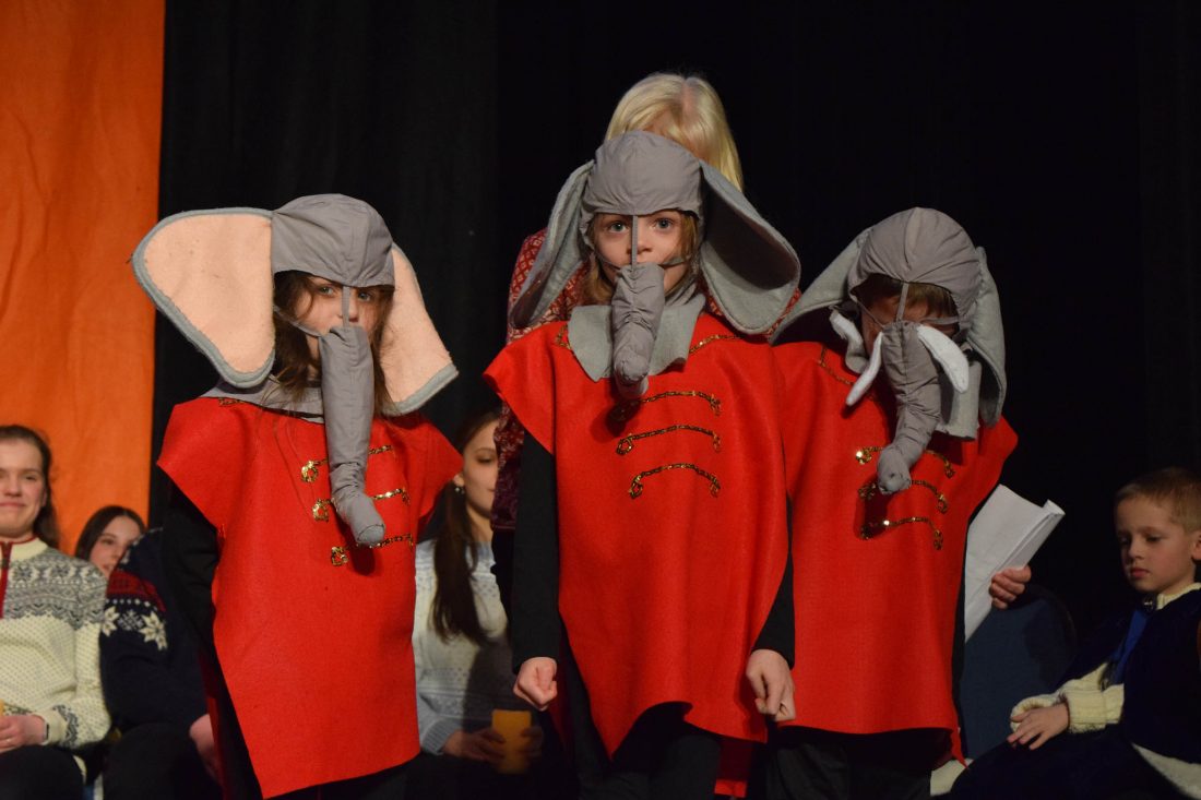 Hemsley, Armstrong crowned LPHS carnival queen, king | News, Sports ...